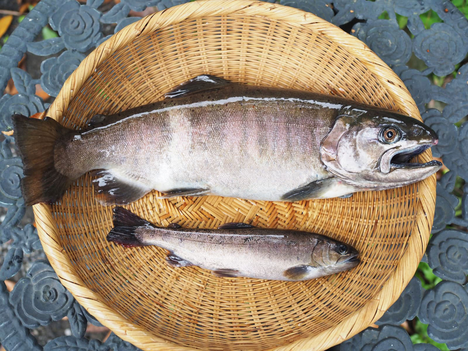奥多摩やまめ | 牧野養魚場